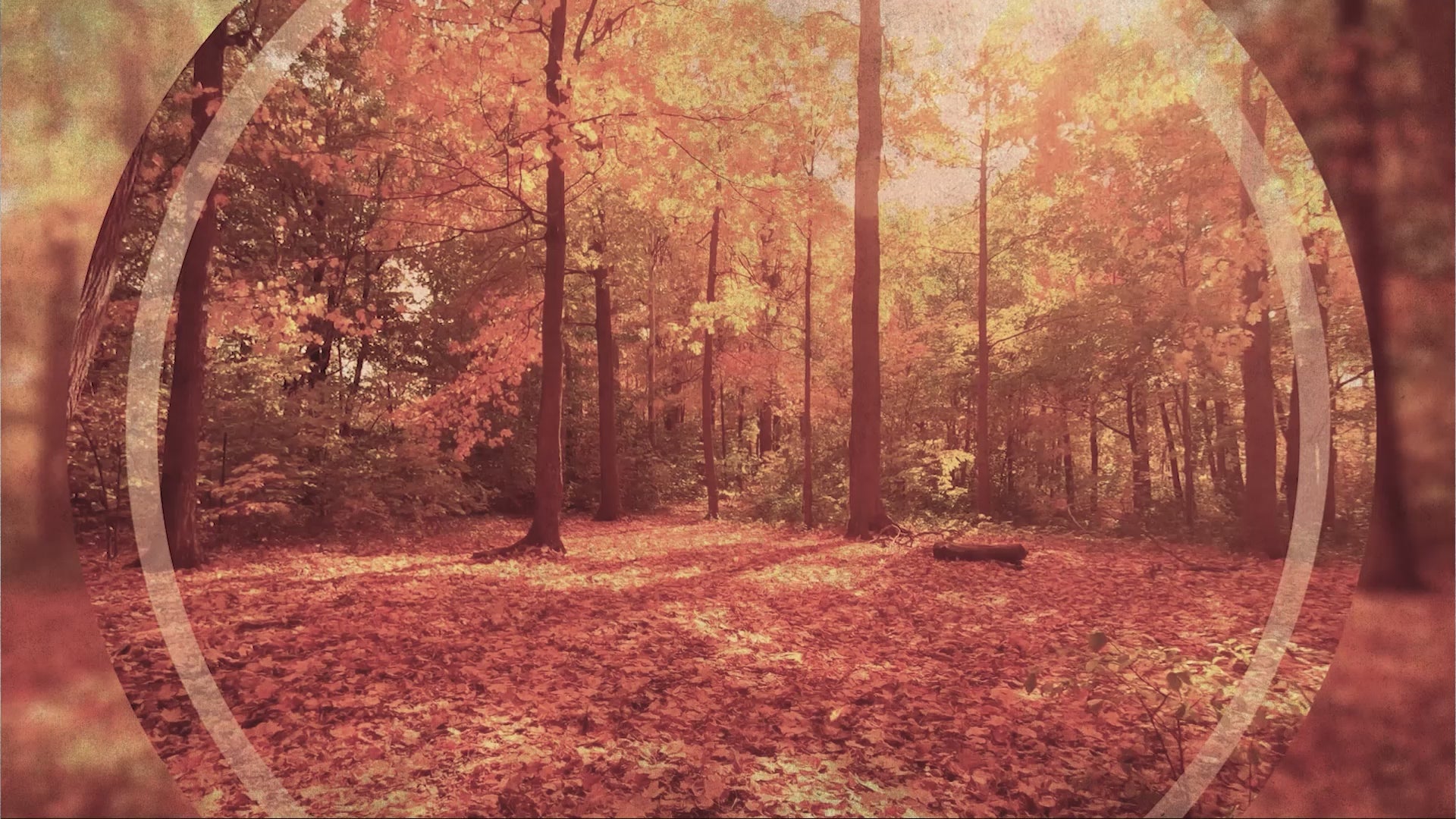 Motion Worship Background - Fall 01 – Ministry Designs