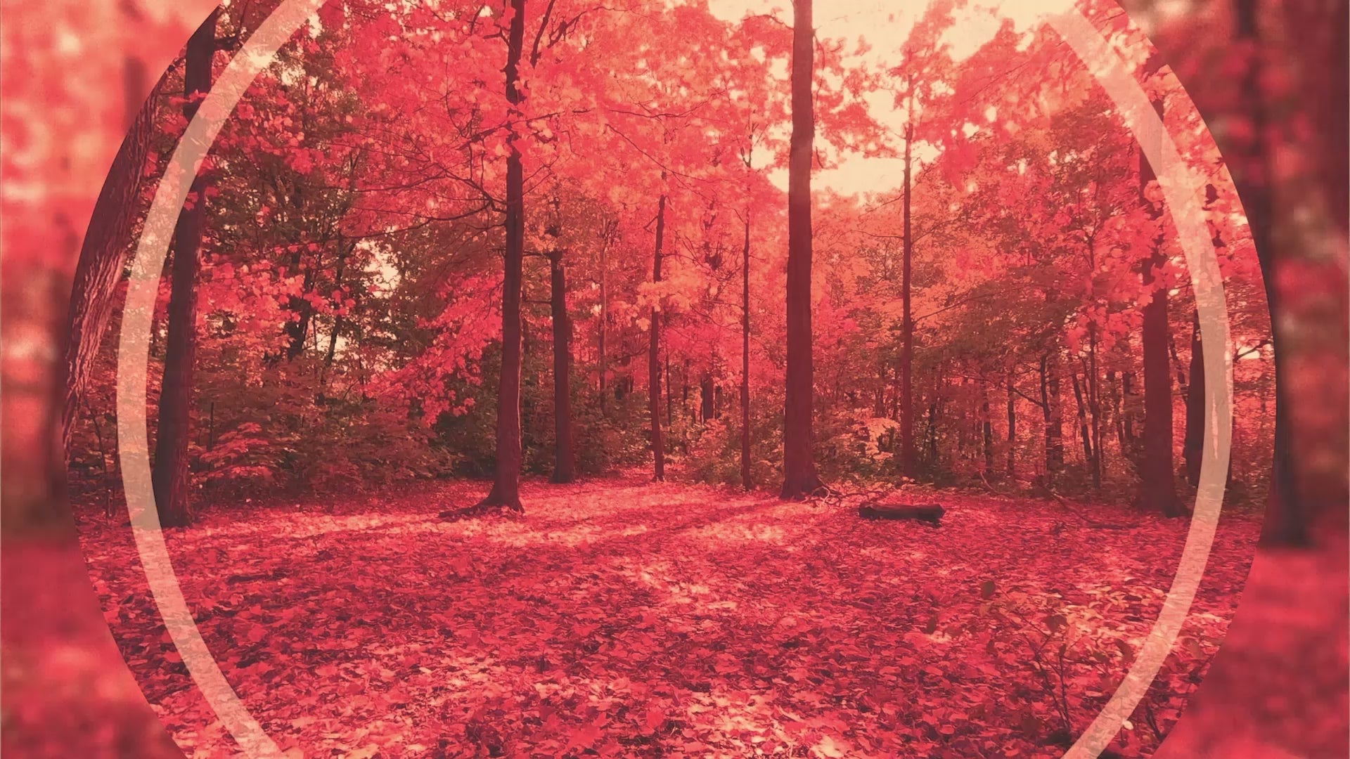 Motion Worship Background - Fall 10 – Ministry Designs