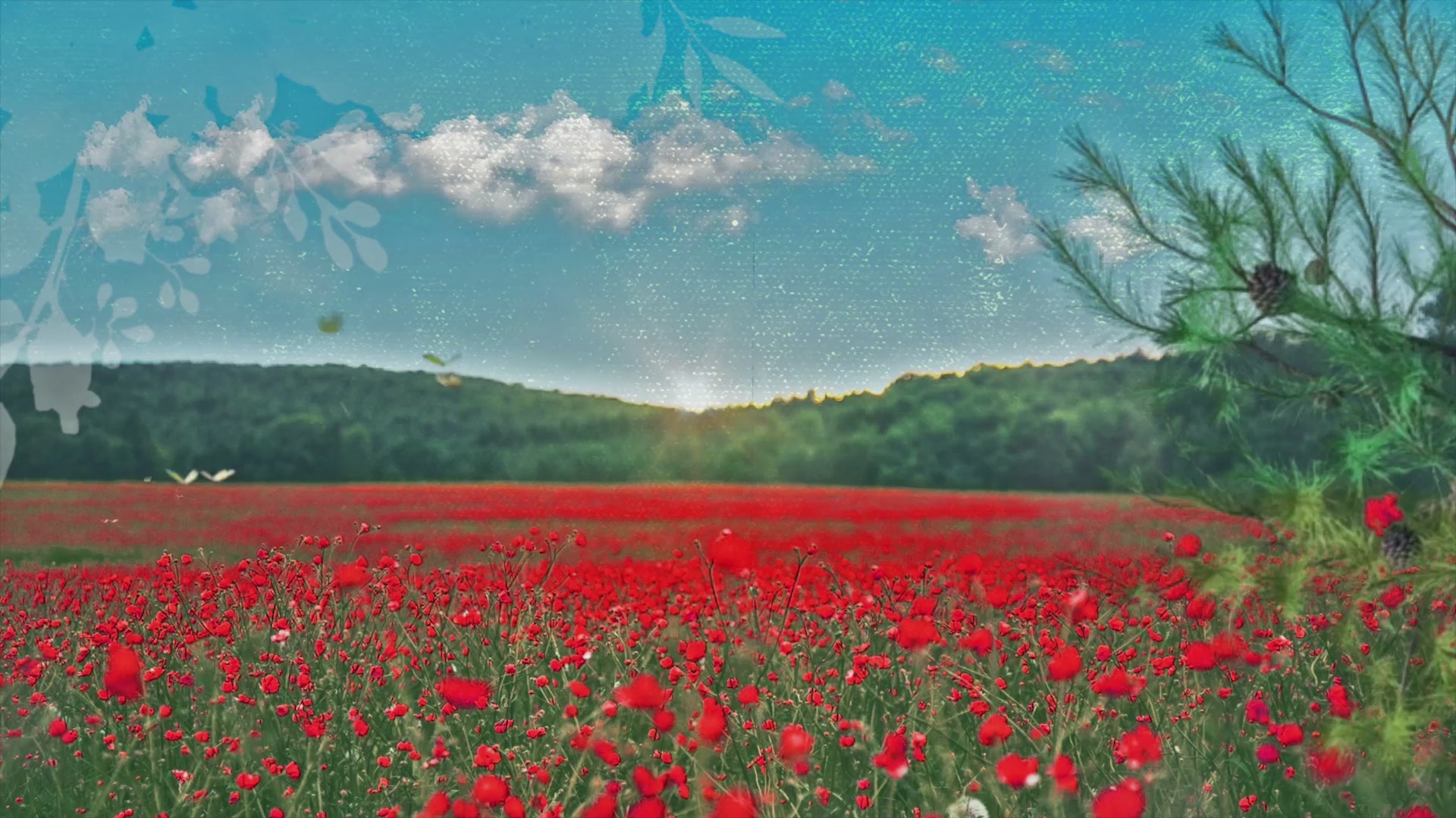 Motion Worship Background - Spring 06 – Ministry Designs