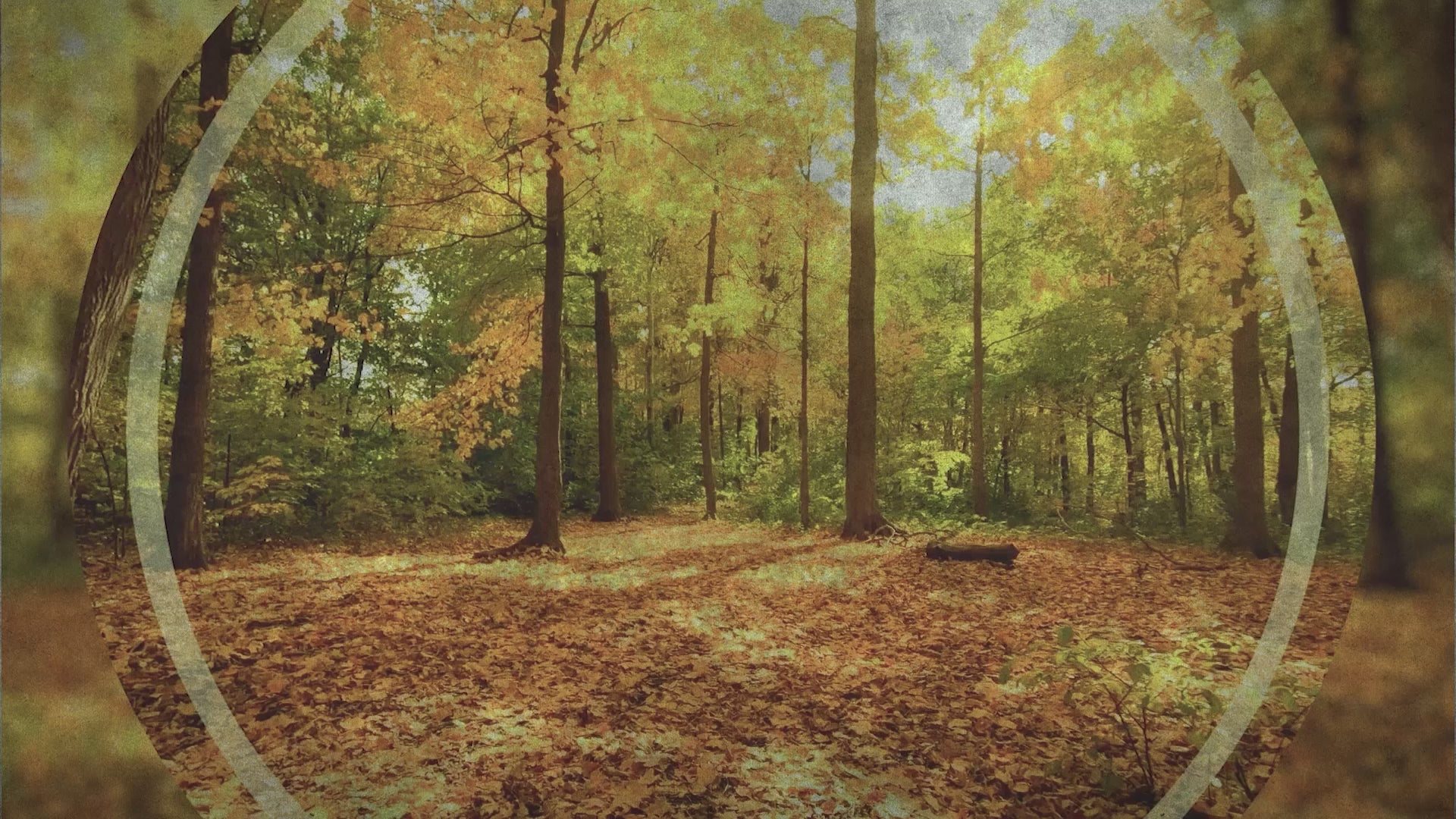 Motion Worship Background - Fall 09 – Ministry Designs