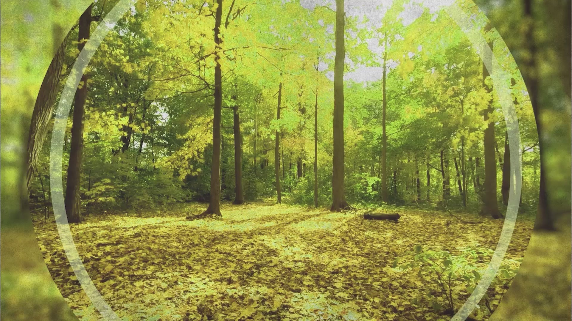 Motion Worship Background - Fall 08 – Ministry Designs