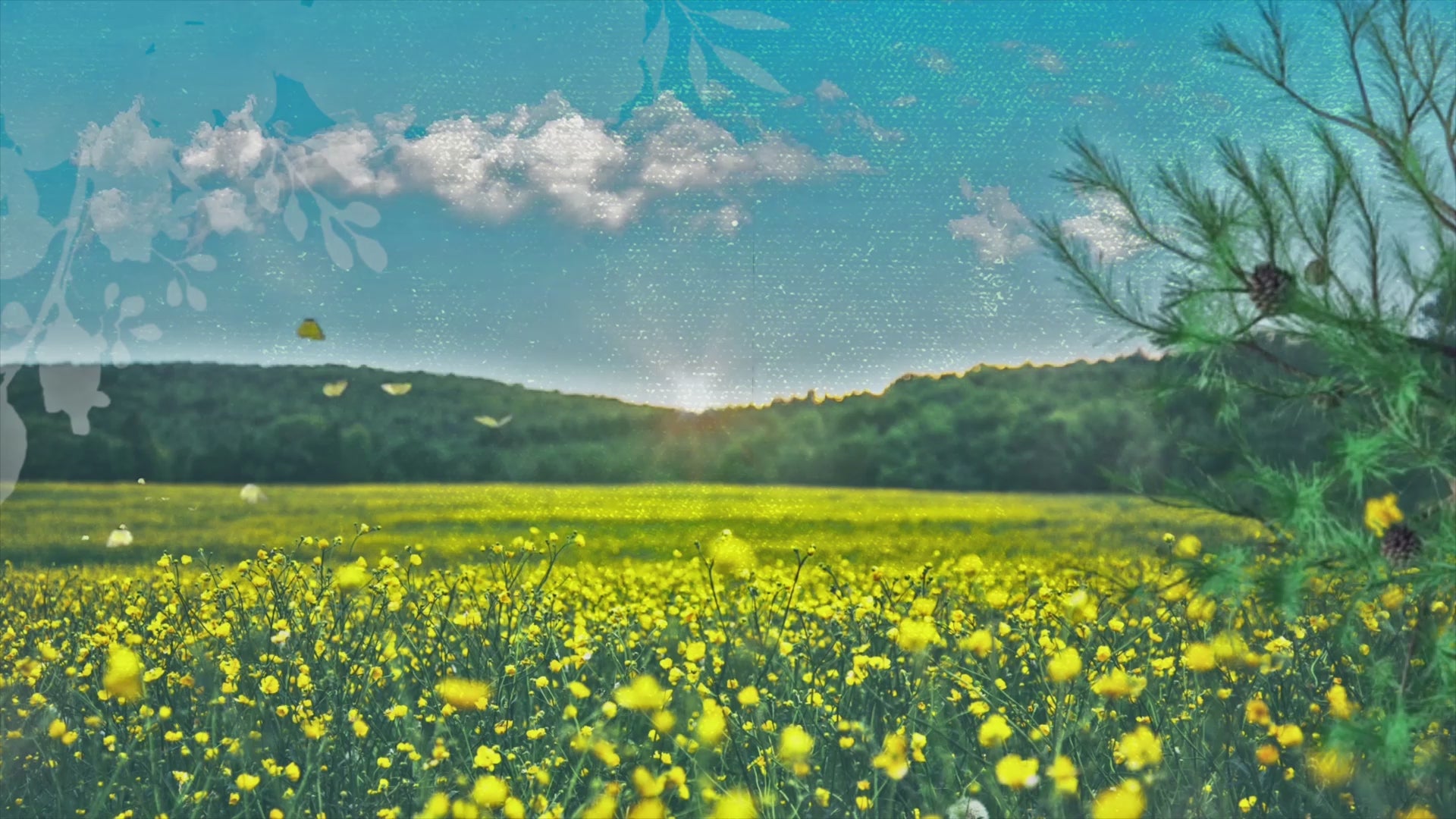 Motion Worship Background - Spring 01 – Ministry Designs