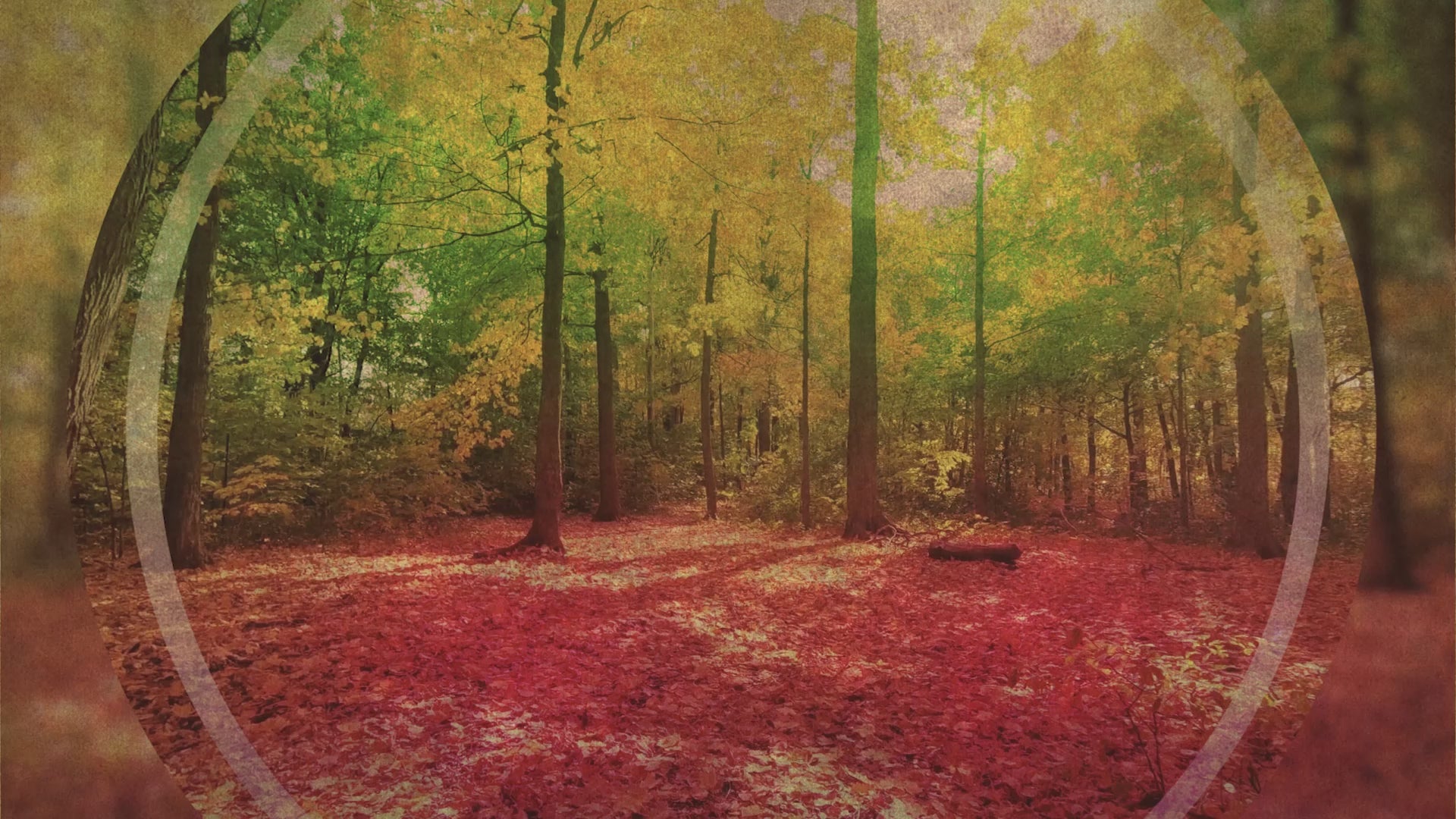 Motion Worship Background - Fall 04 – Ministry Designs