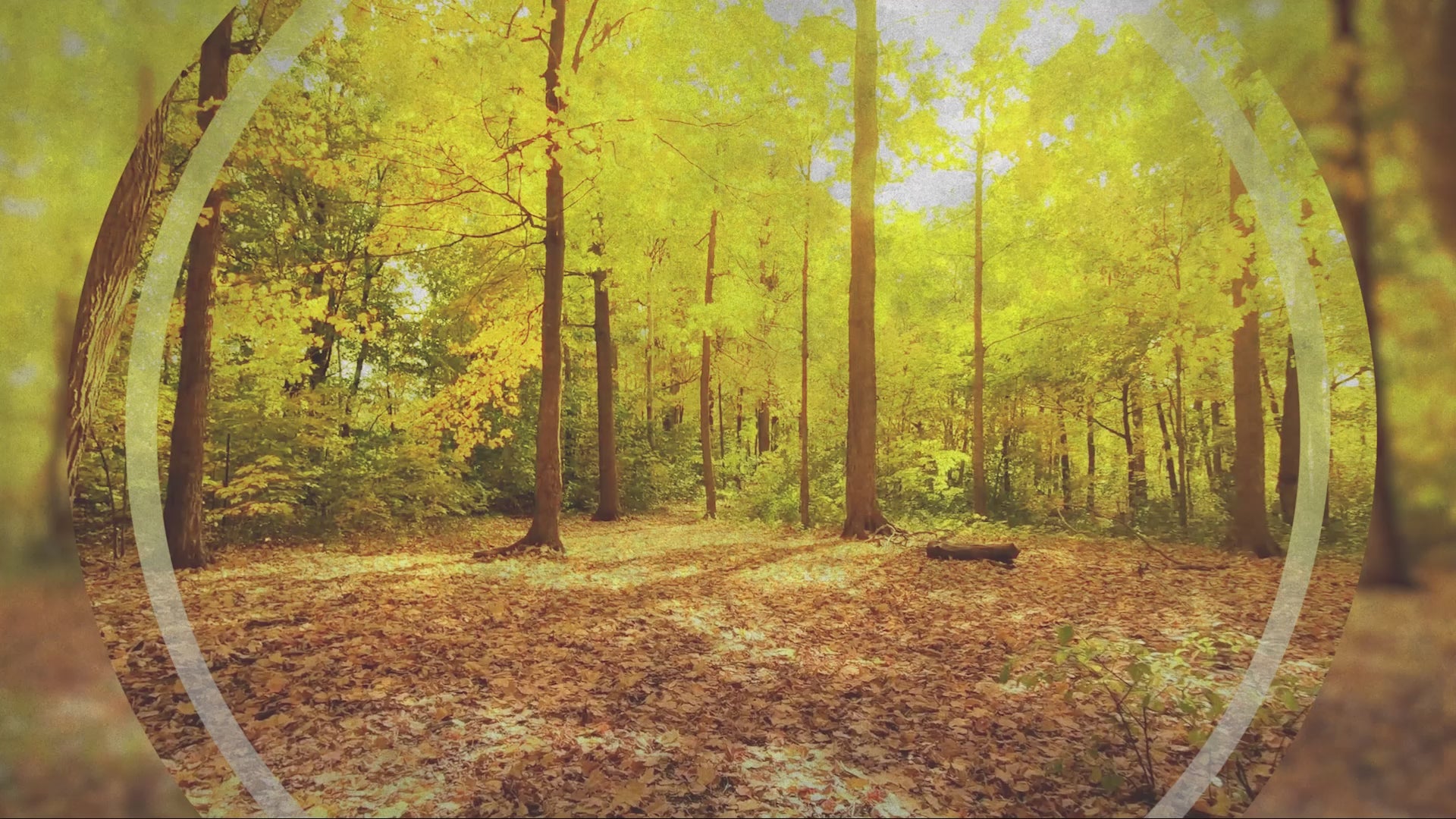 Motion Worship Background - Fall 02 – Ministry Designs