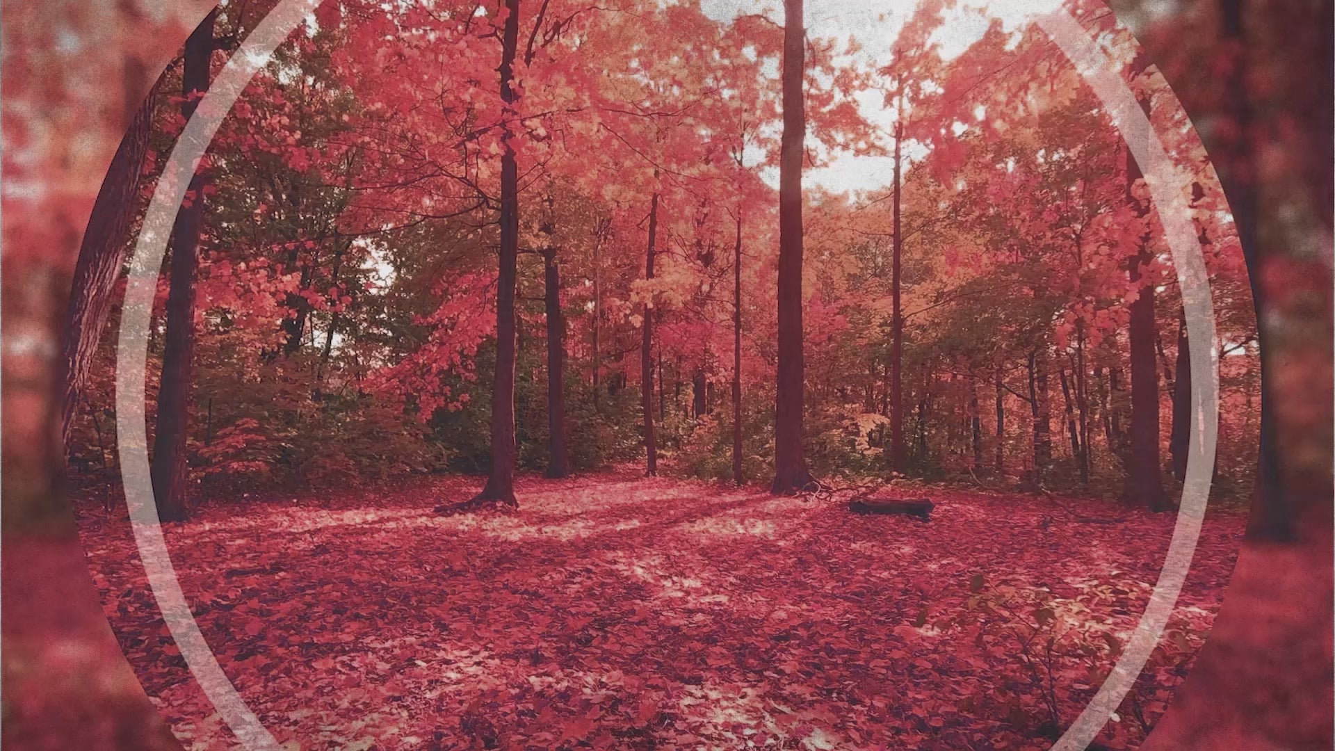 Motion Worship Background - Fall 06 – Ministry Designs