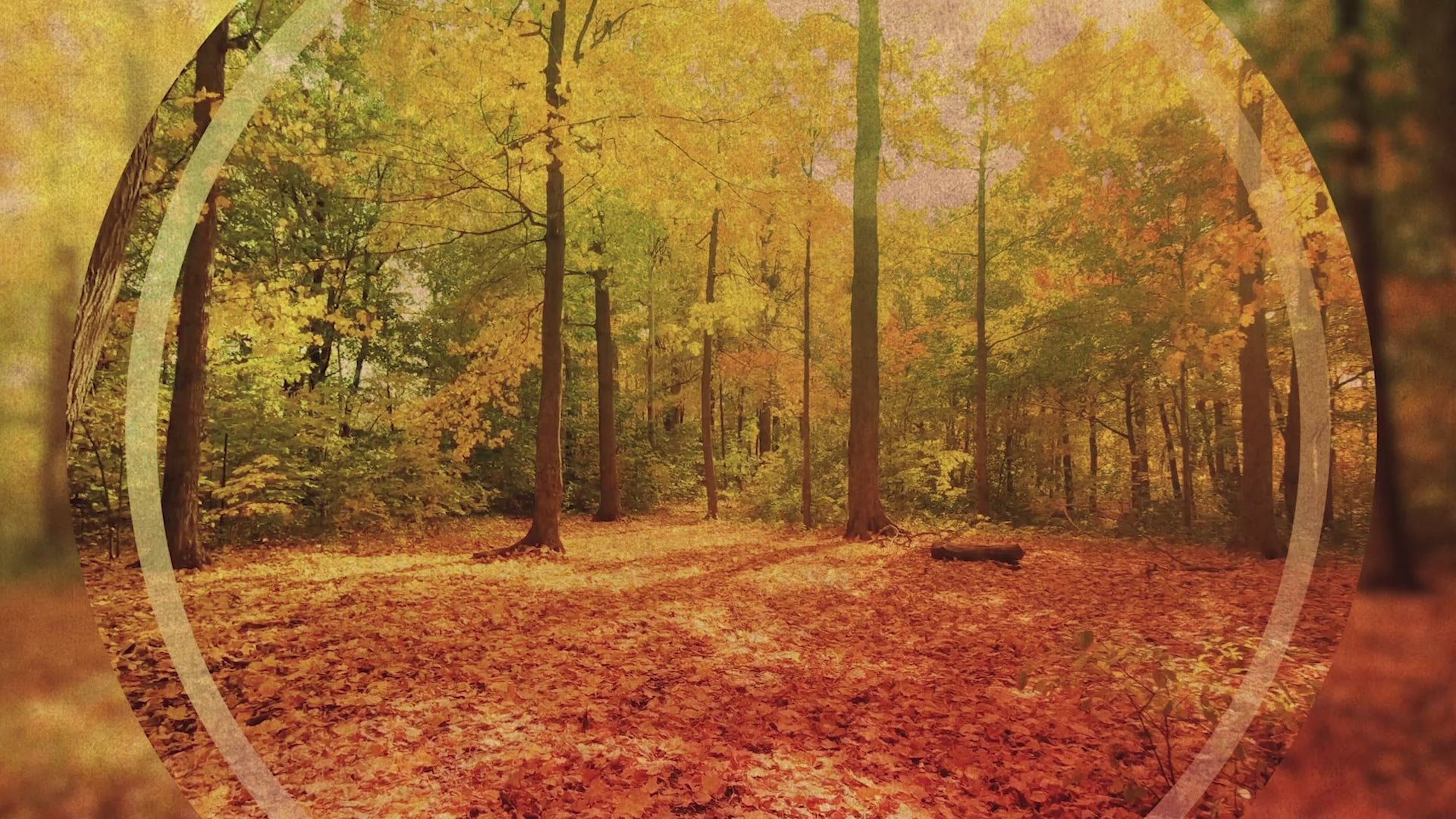 Motion Worship Background - Fall 03 – Ministry Designs