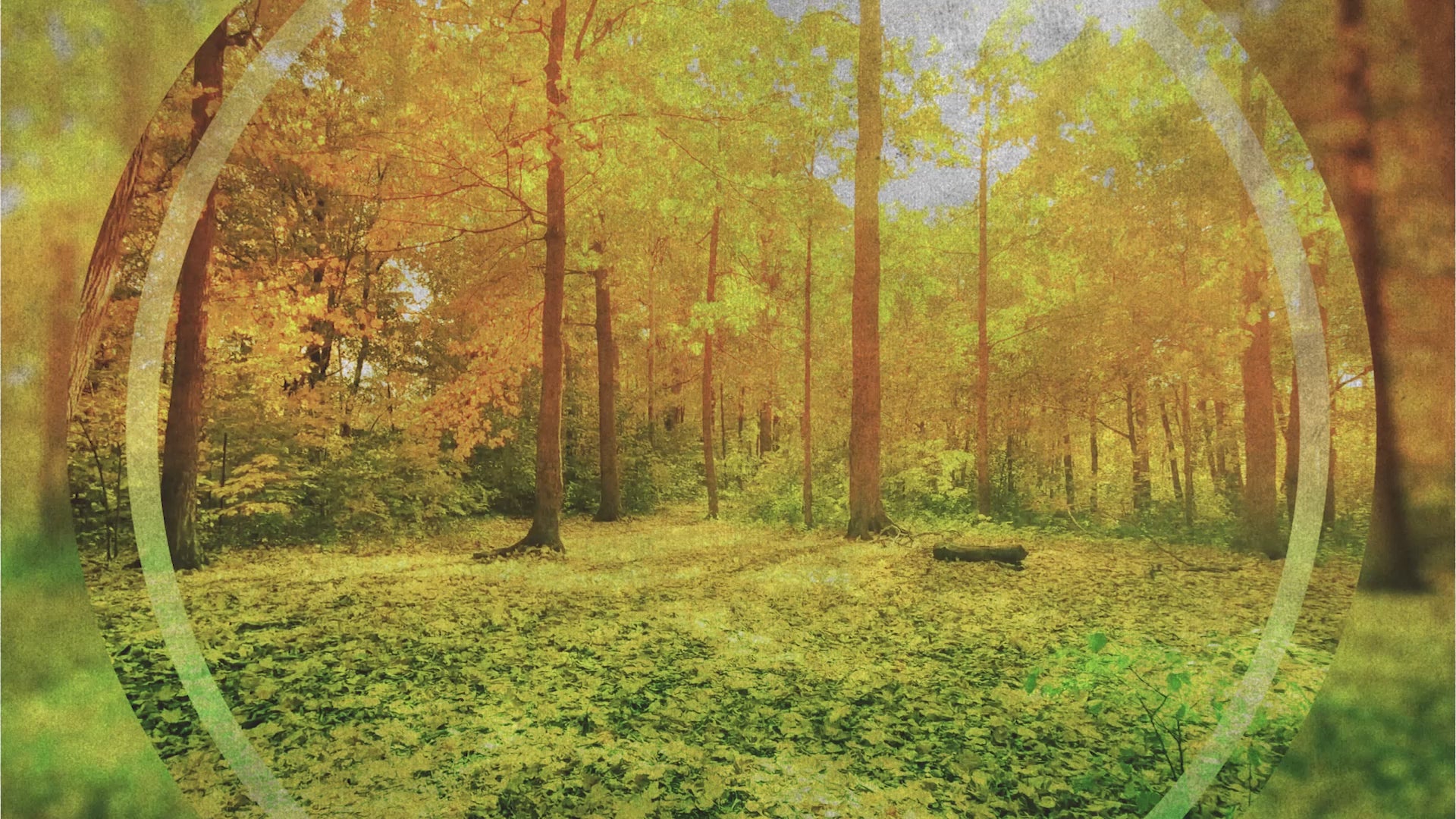 Motion Worship Background - Fall 05 – Ministry Designs